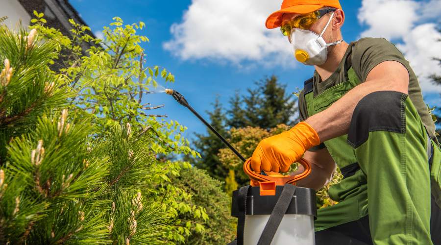 Tips for Eco-Friendly Pest Control | Eco Pest Control Perth
